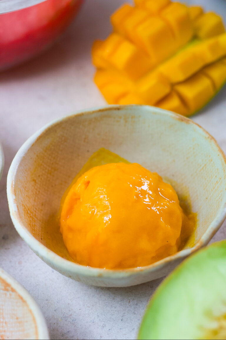 QUICK AND EASY FRUIT SORBET - Bake with Shivesh