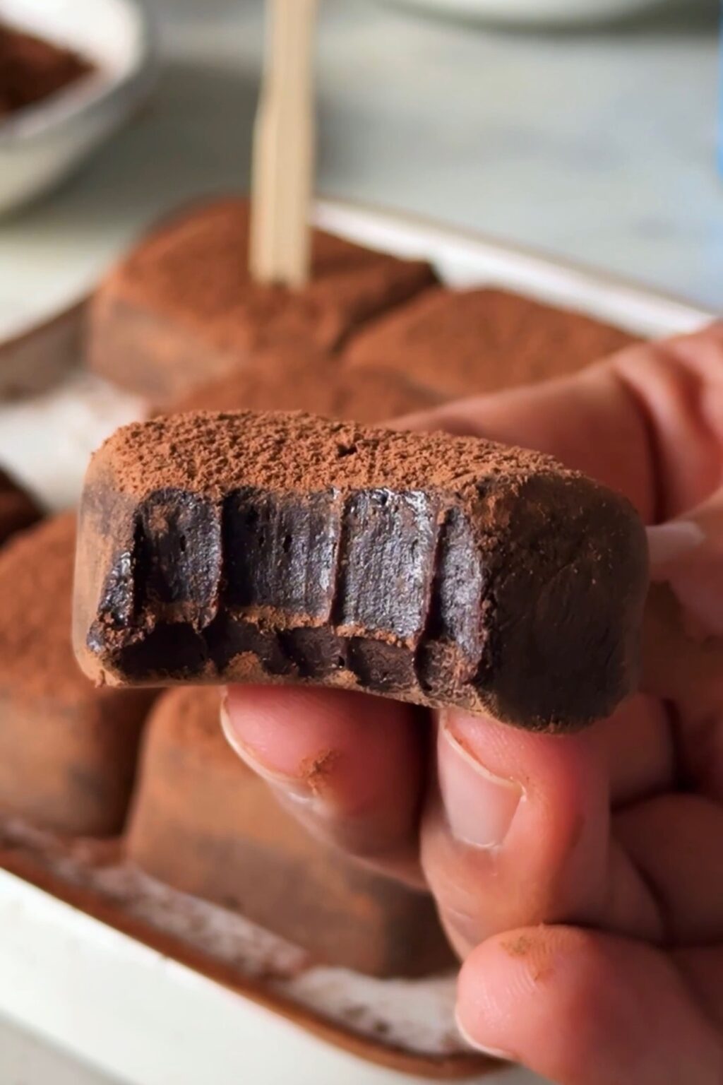 2 INGREDIENT CHOCOLATE TRUFFLES - Bake with Shivesh