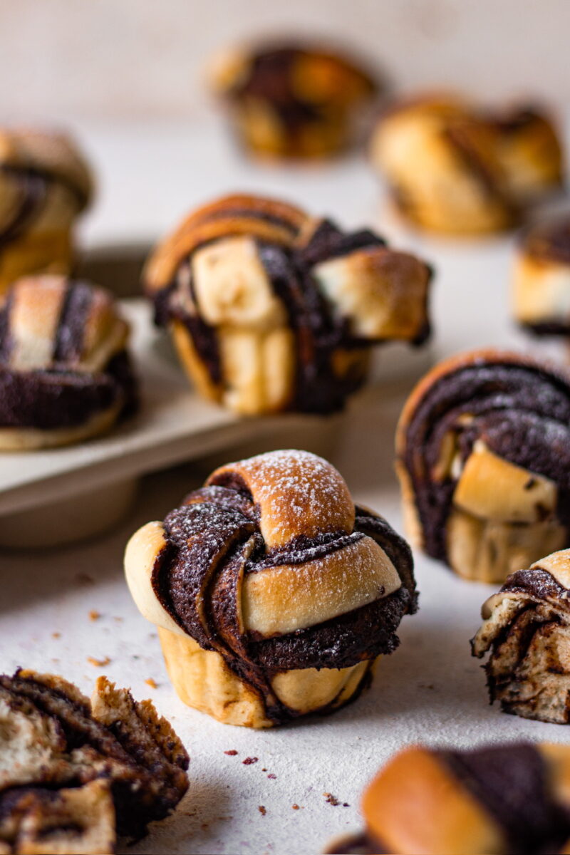 TYPES OF YEASTS - Bake with Shivesh