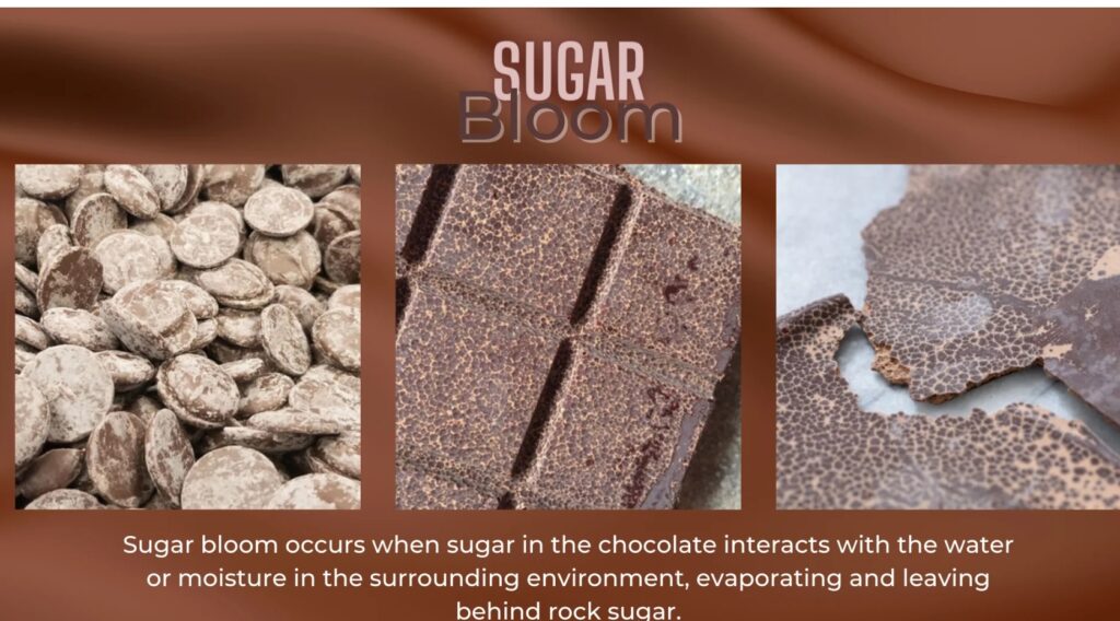 CHOCOLATE BLOOM : WHAT IT IS AND HOW TO AVOID IT - Bake with Shivesh