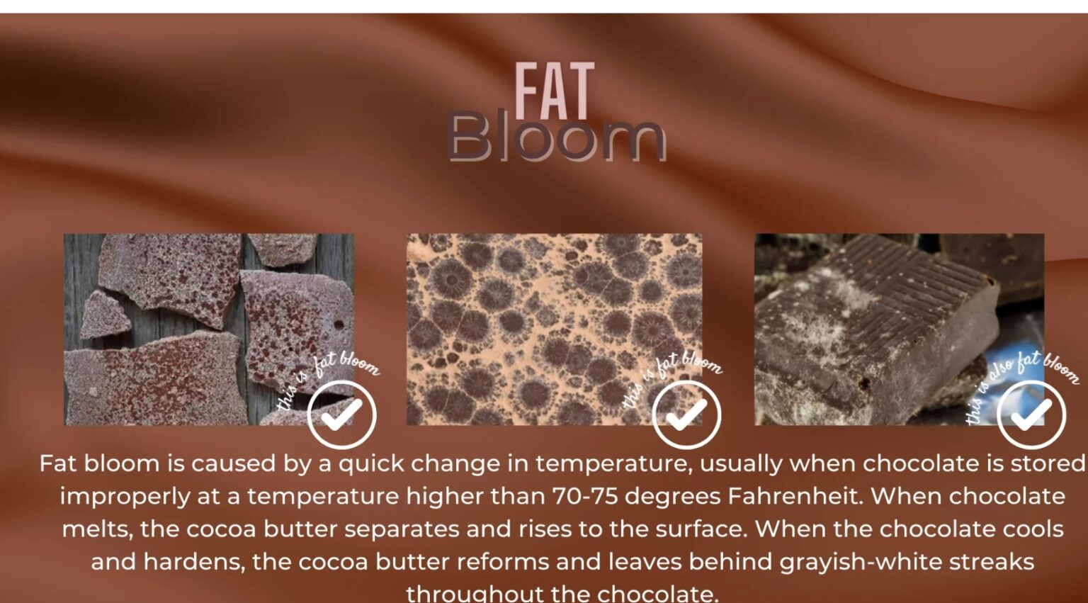 CHOCOLATE BLOOM : WHAT IT IS AND HOW TO AVOID IT - Bake with Shivesh
