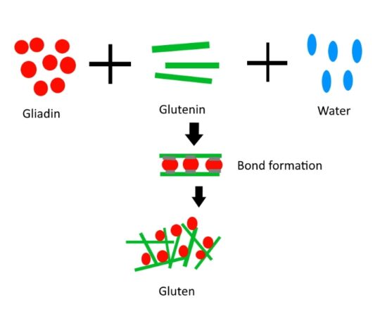 THE SCIENCE BEHIND GLUTEN - Bake with Shivesh